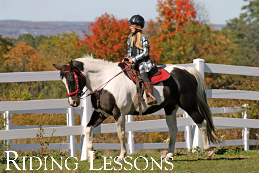 Painted Bar Stables - Your Place on a Horse