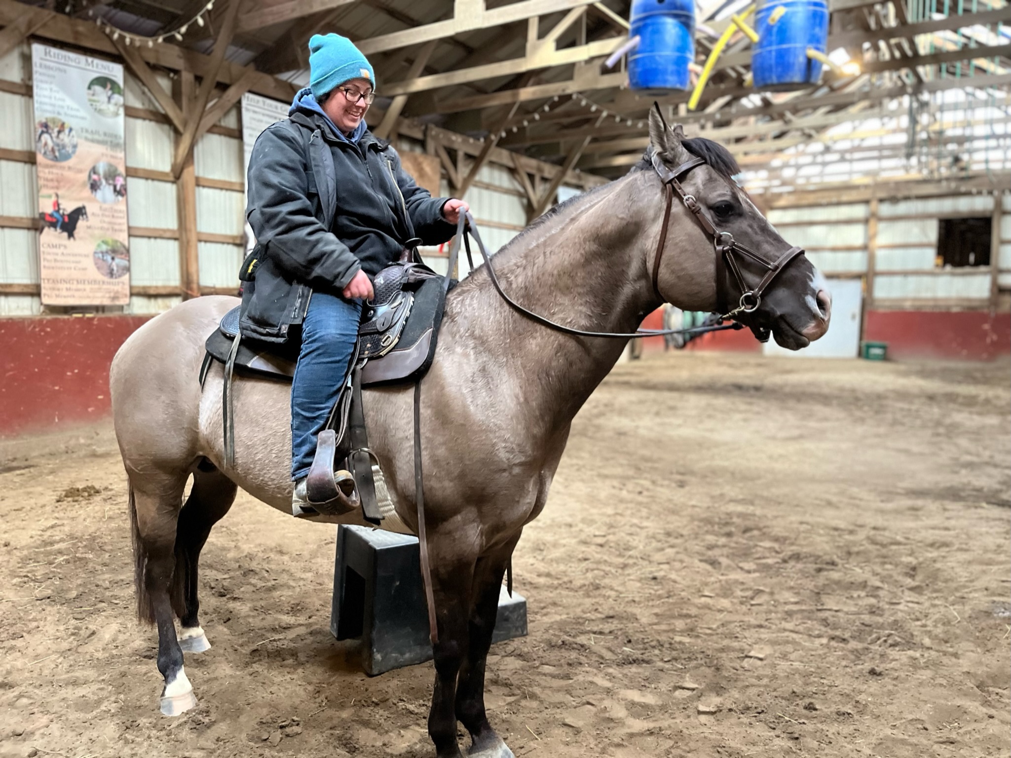Vanzi Bars N Stripes: AQHA Stallion at Stud