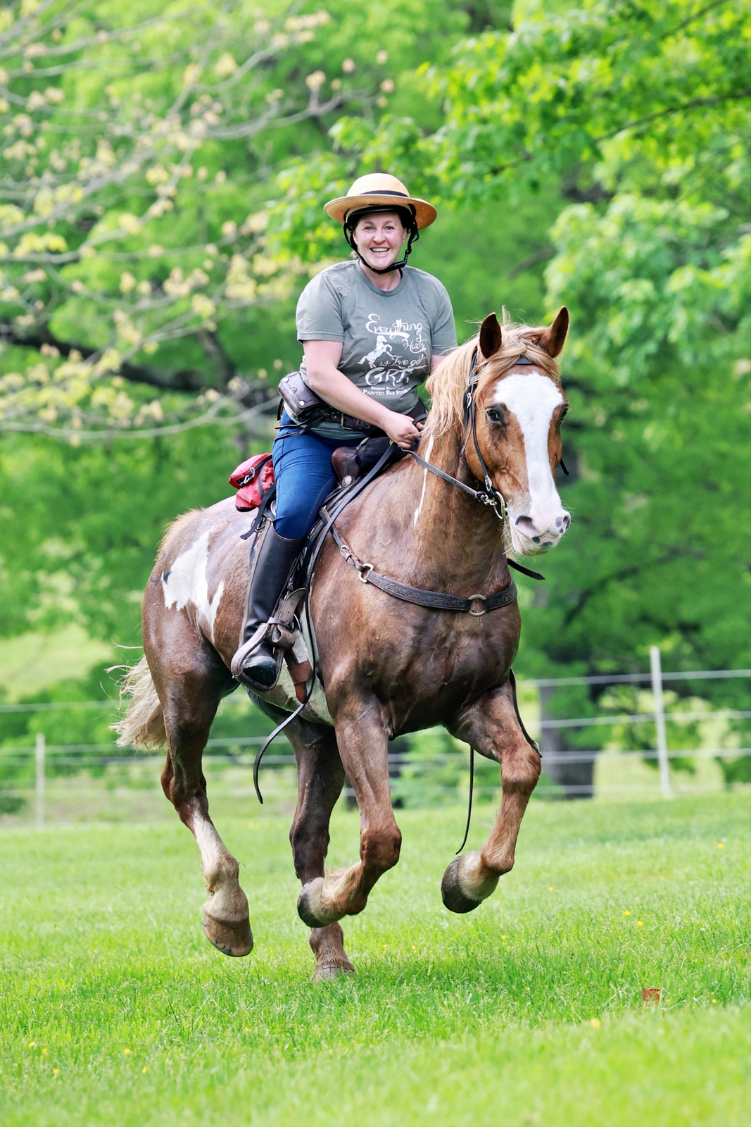 Painted Bar Stables - Our Horses