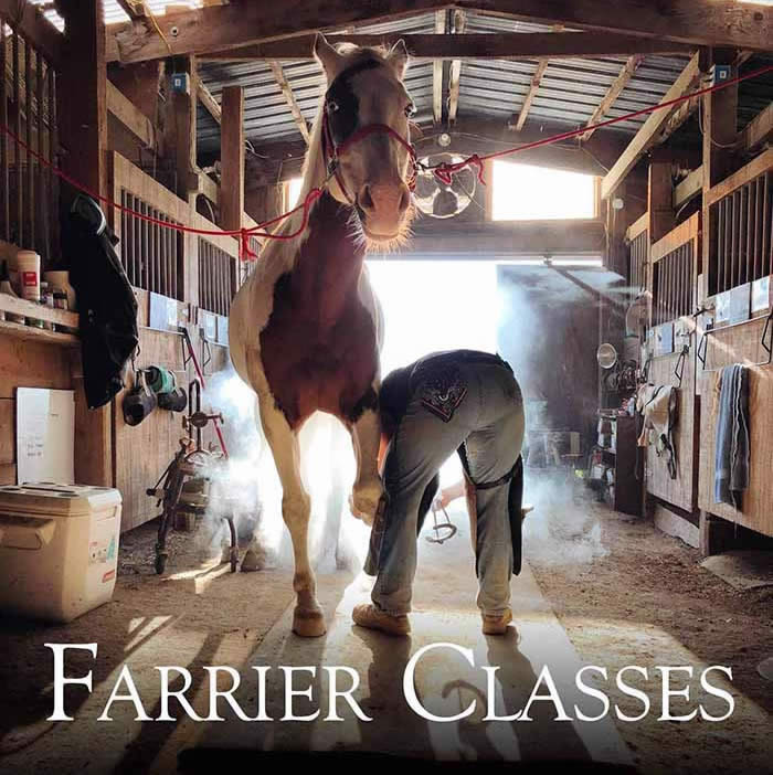 Painted Bar Stables - Your Place on a Horse