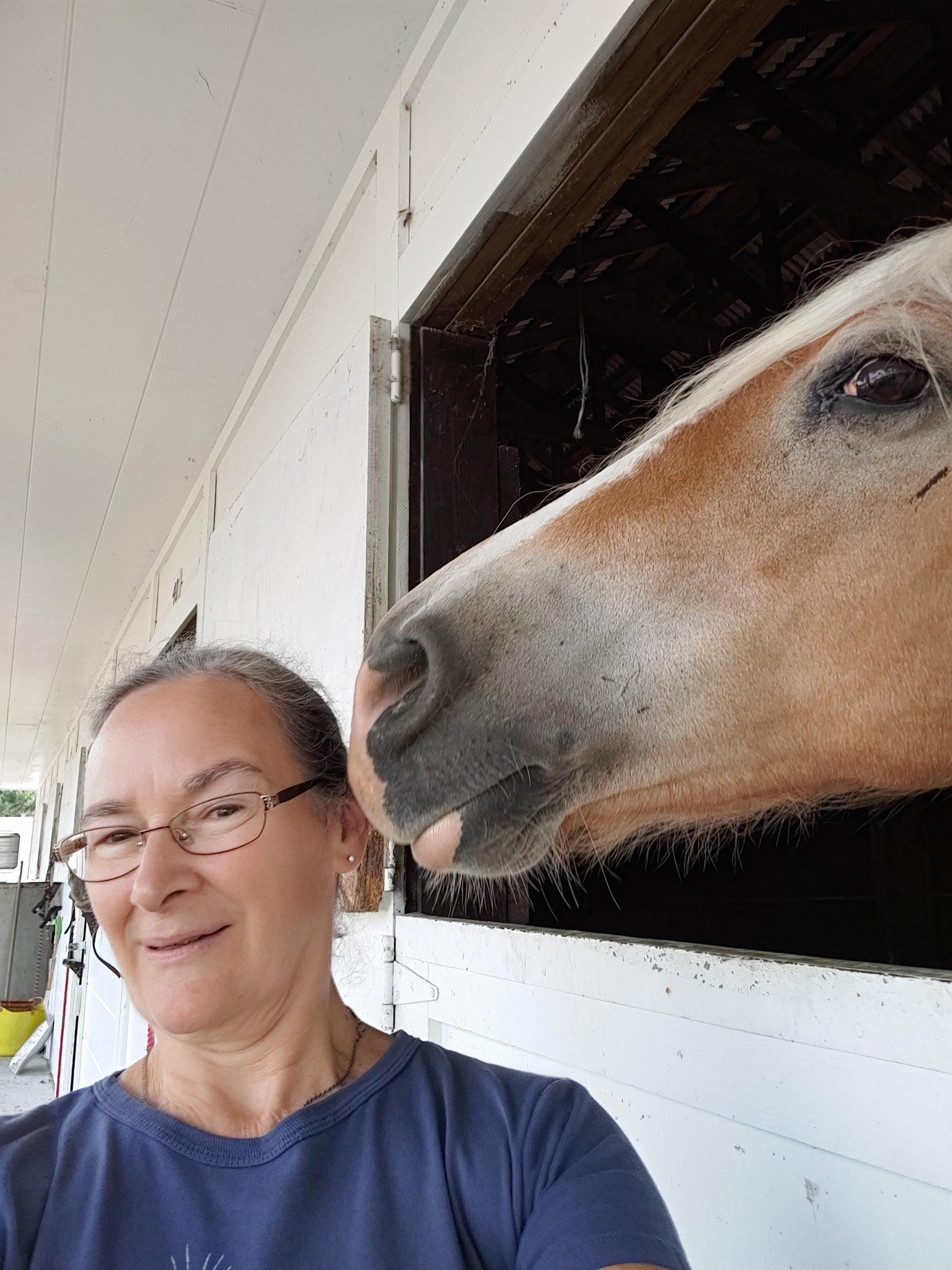 Painted Bar Stables - Our Horses