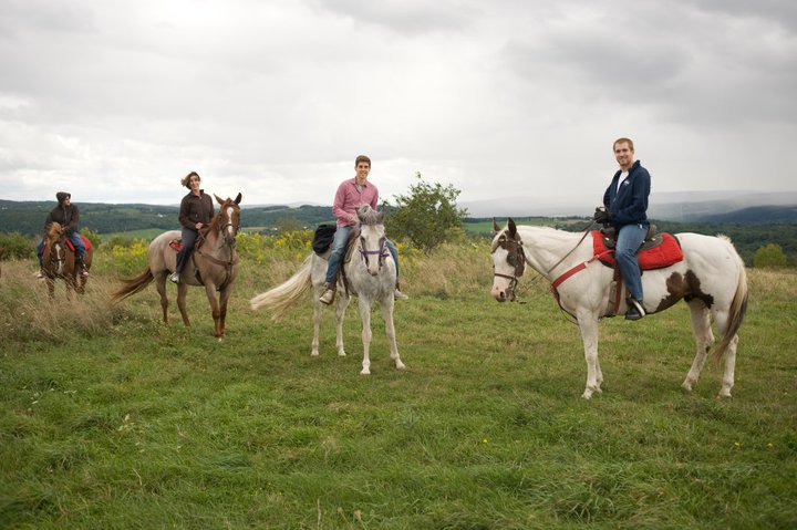Painted Bar Stables, Your Place on a Horse
