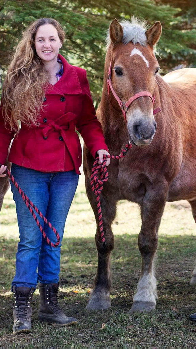 Painted Bar Stables - Our Horses